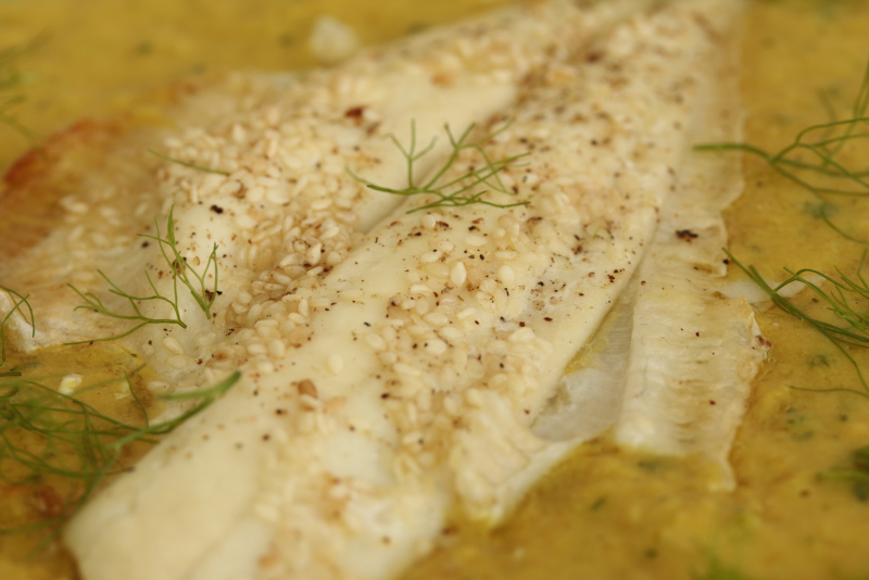 Platesa s feniklom na citrónovej tráve s avokádom | slovenský výrobca ...