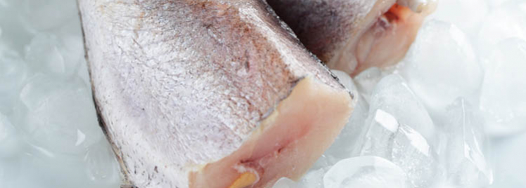 Tipy ako správne zmrazovať a rozmrazovať ryby | slovenský výrobca ...